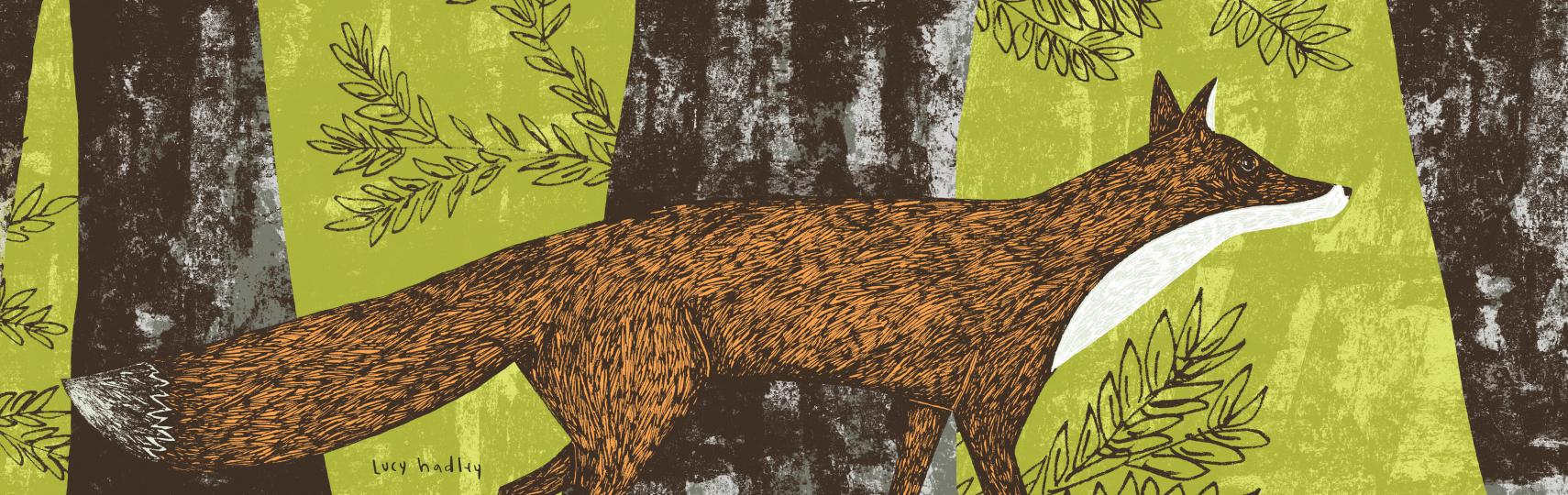 Lucy Hadley | Lucy Hadley Illustrator